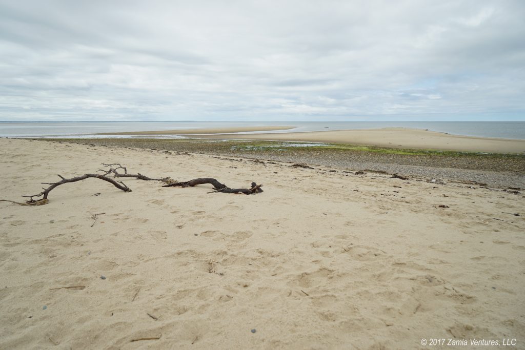 Cape Cod: The Great Island Trail – Zamia Ventures