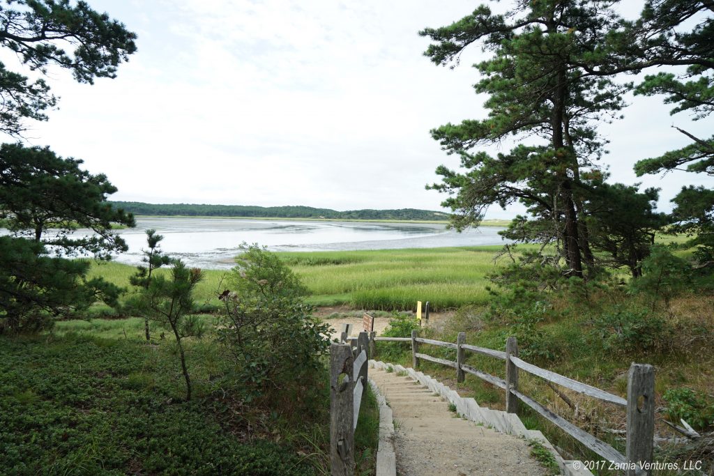 Cape Cod: The Great Island Trail – Zamia Ventures