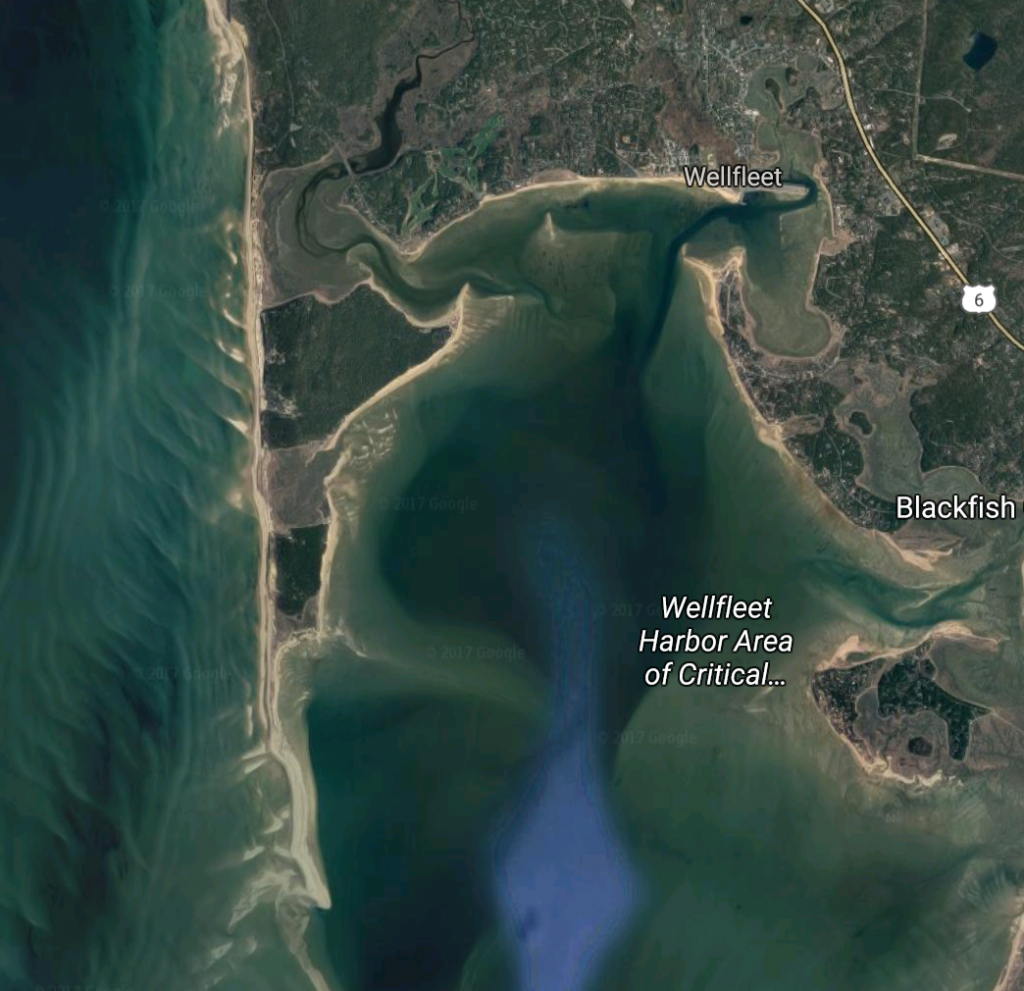 Cape Cod: The Great Island Trail – Zamia Ventures