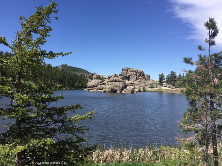 Custer Scenery Sylvan Lake – Zamia Ventures