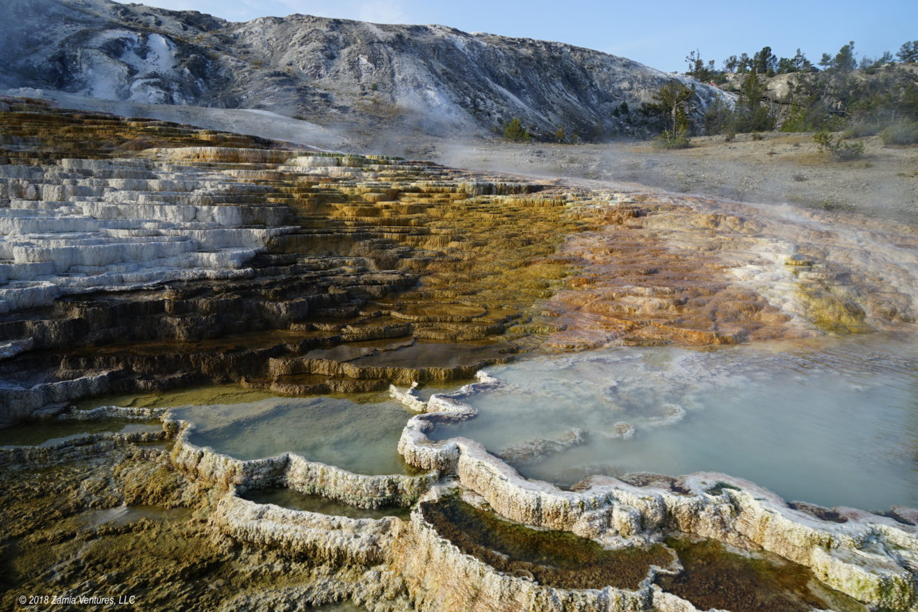 Mammoth Springs Cloudy Pool – Zamia Ventures
