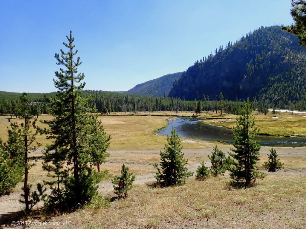 Yellowstone Madison River – Zamia Ventures