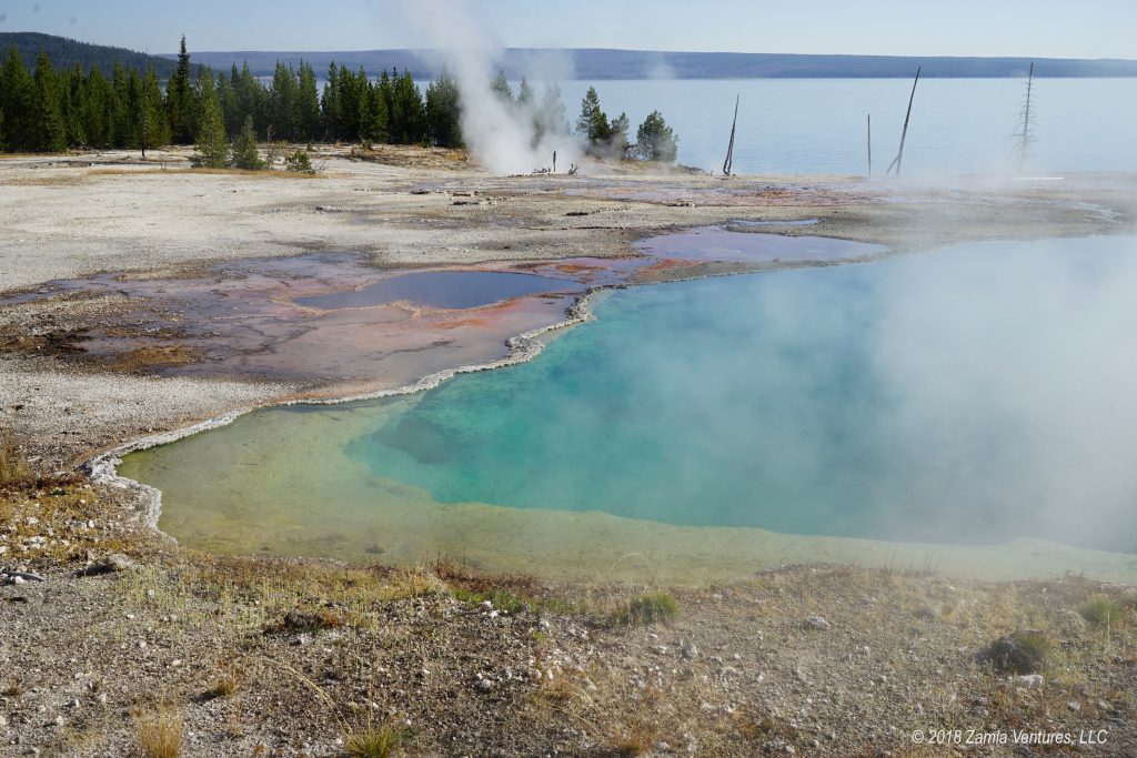 Yellowstone Part 1: Colorful Puddles and Persistent Crowds – Zamia Ventures