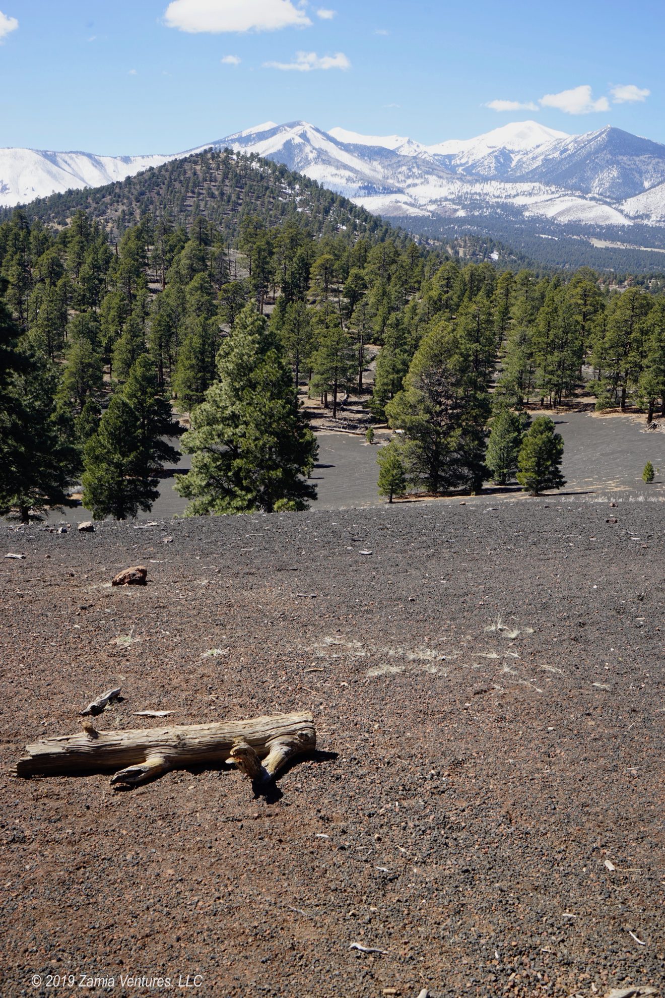 Flagstaff Sunset Crater Lenox Crater – Zamia Ventures