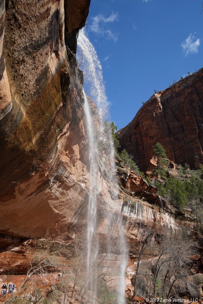 Zion Emerald Falls – Zamia Ventures