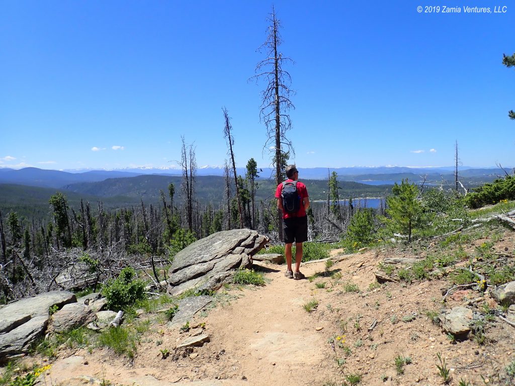 Goose, Geese, Moose, Meese: Grand Lake, CO – Zamia Ventures