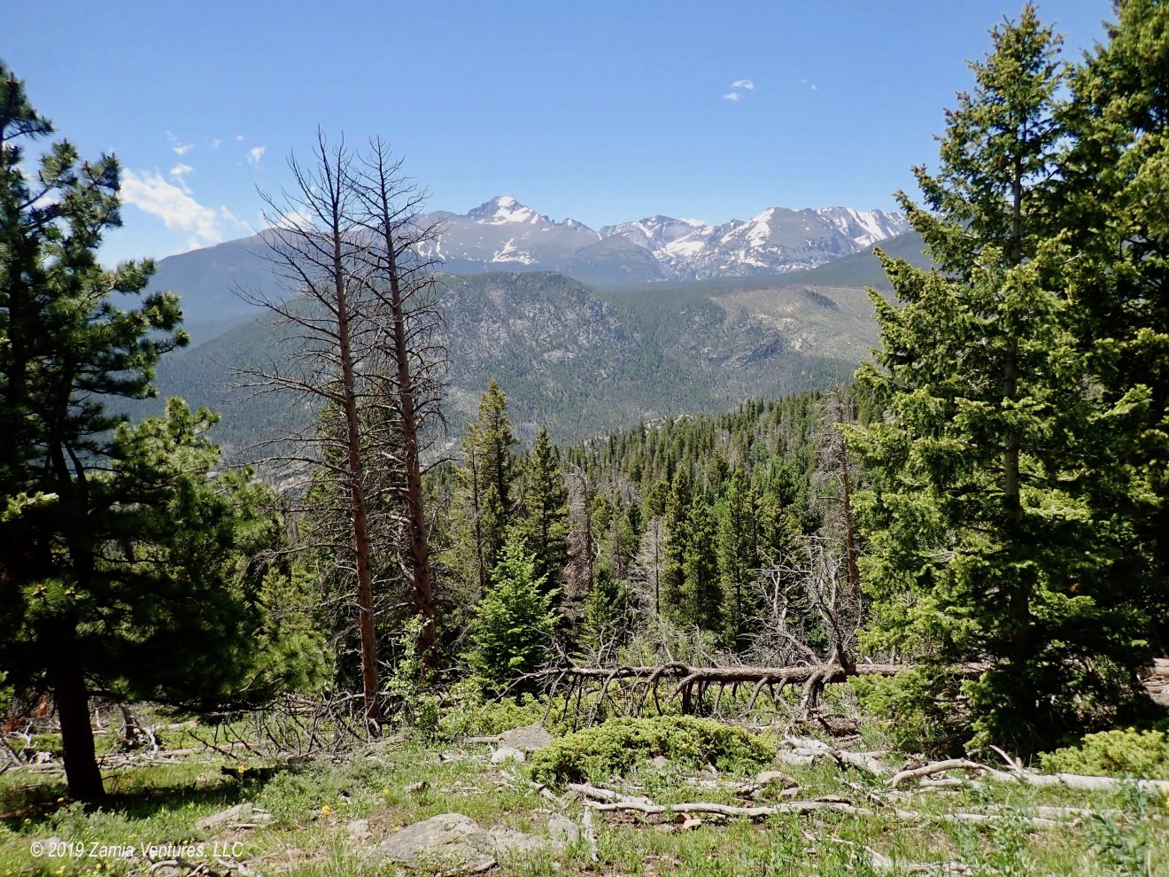 Rocky Beaver Trail Longs Peak – Zamia Ventures