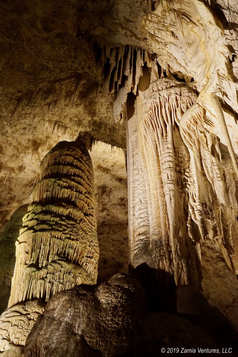 Carlsbad Giant Column – Zamia Ventures