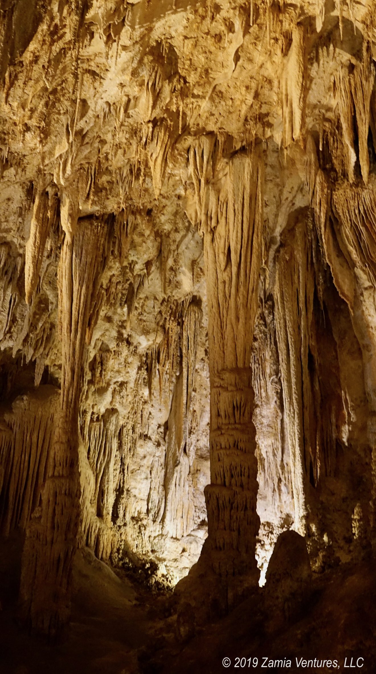 Carlsbad Stalactite Columns – Zamia Ventures