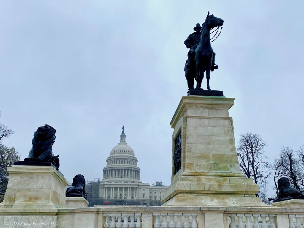 A Brief Trip to Our Nation’s Capital – Zamia Ventures
