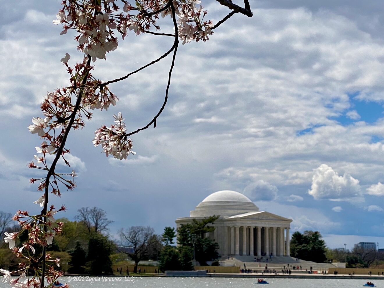 A Brief Trip to Our Nation’s Capital – Zamia Ventures