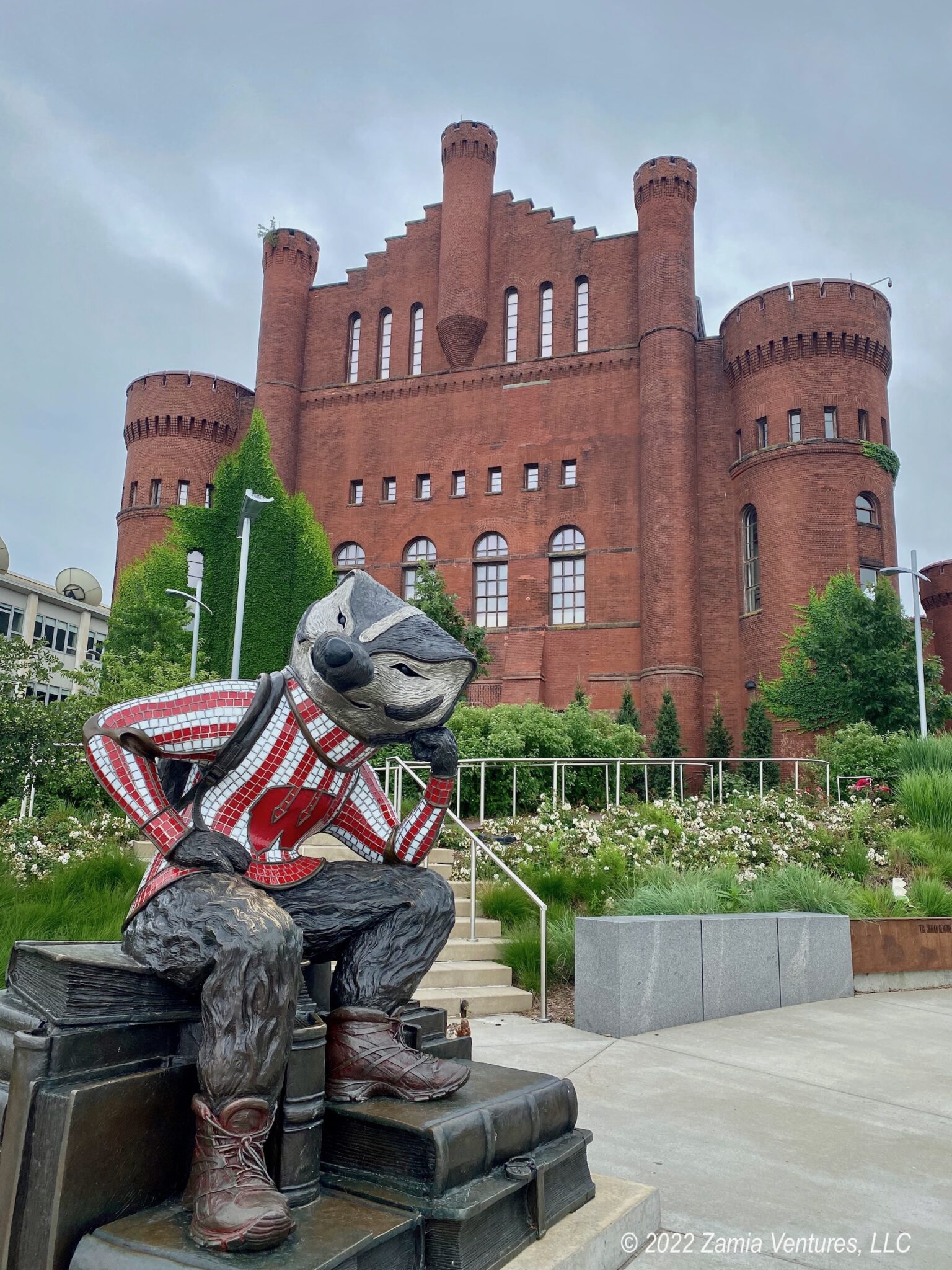 Madison Badger Red Gym – Zamia Ventures